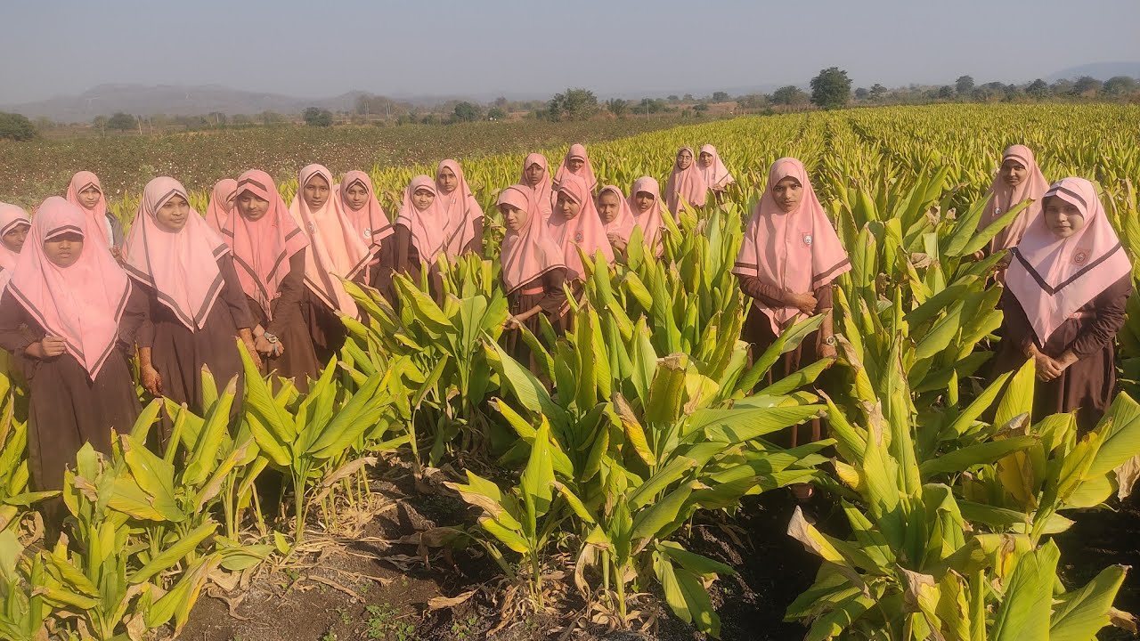 School ke talba ka taleemi Tafrih ke tour par Qabaili ilaqon aur kheton ...