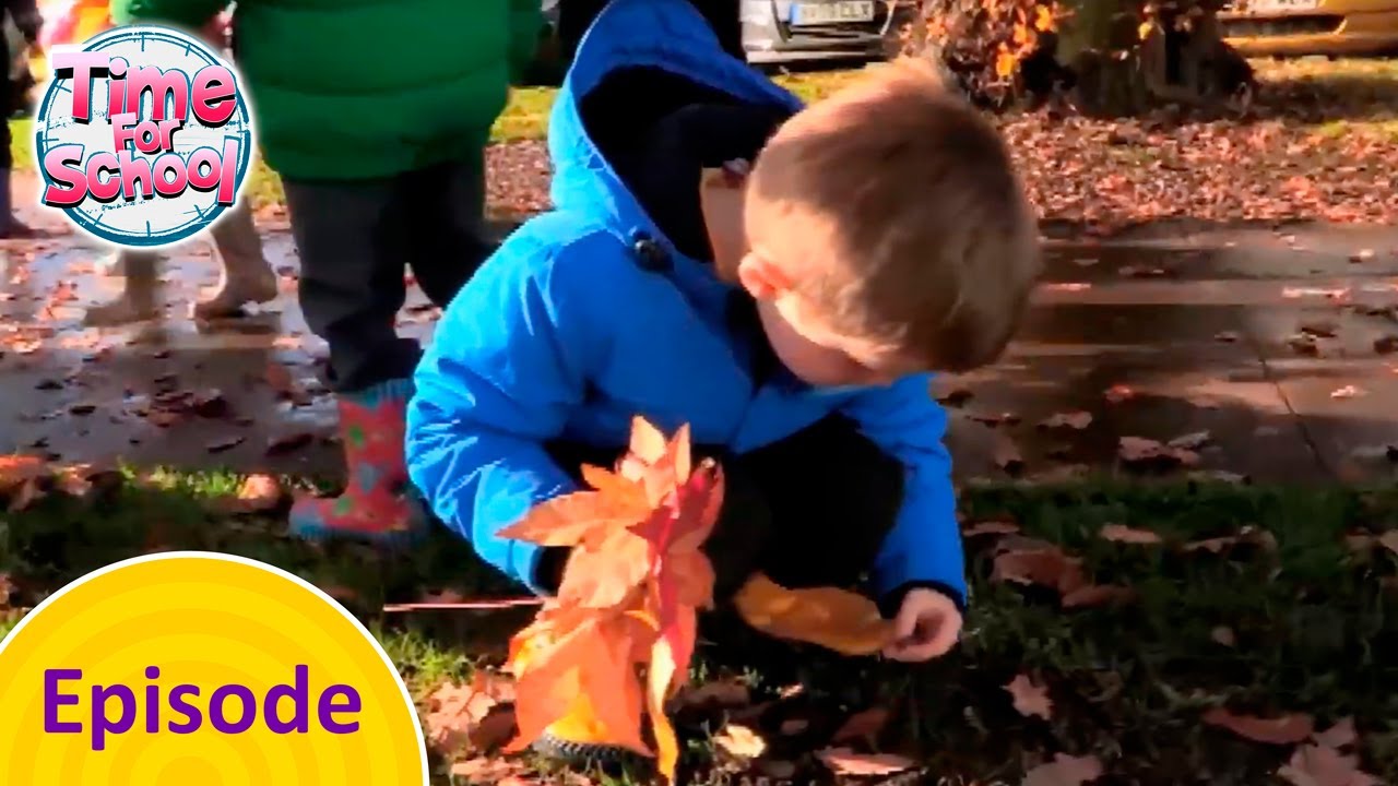 Autumn Leaves at School | Time for School Full Episode - YouTube