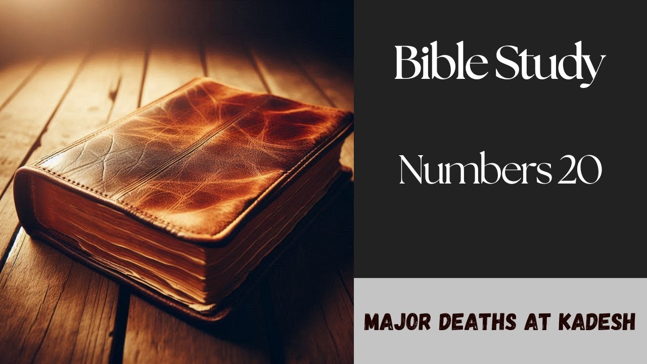 Numbers 20 Bible Study - YouTube