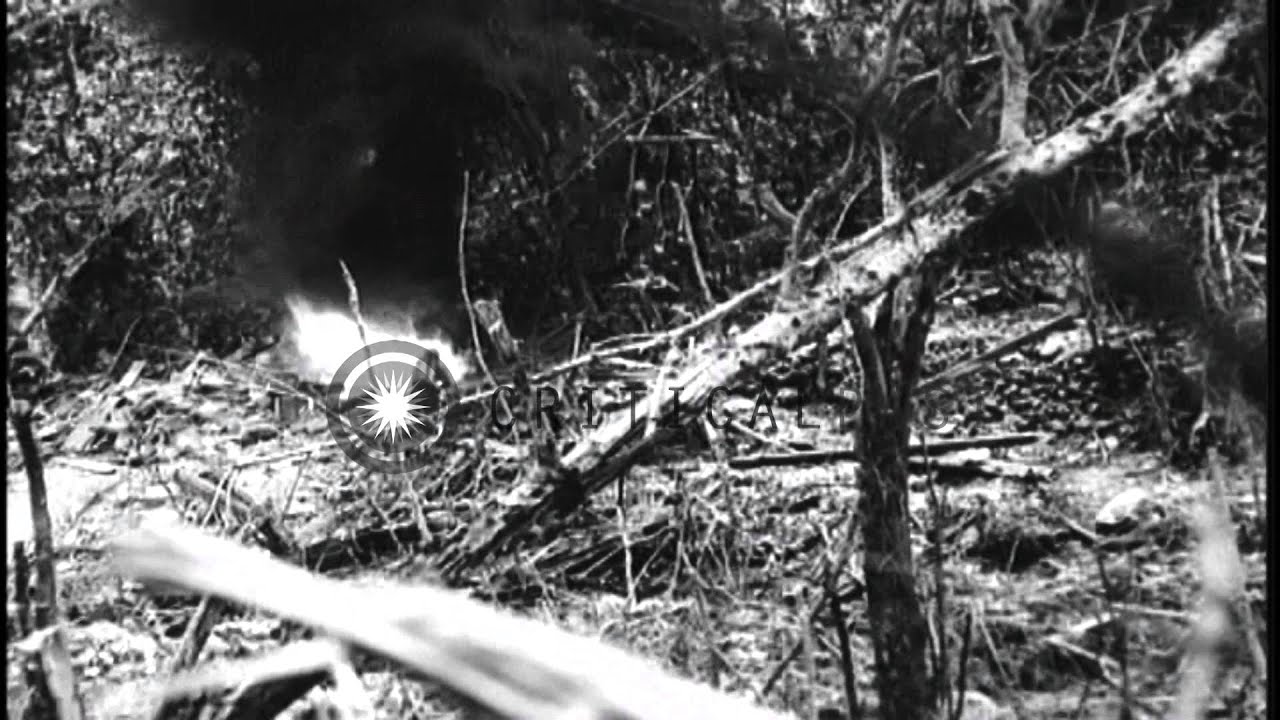81st Army Division Marines advance at Bloody Nose Ridge on Peleliu ...
