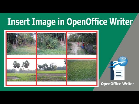 How to Insert Image in OpenOffice Writer Document - The Graphic Home