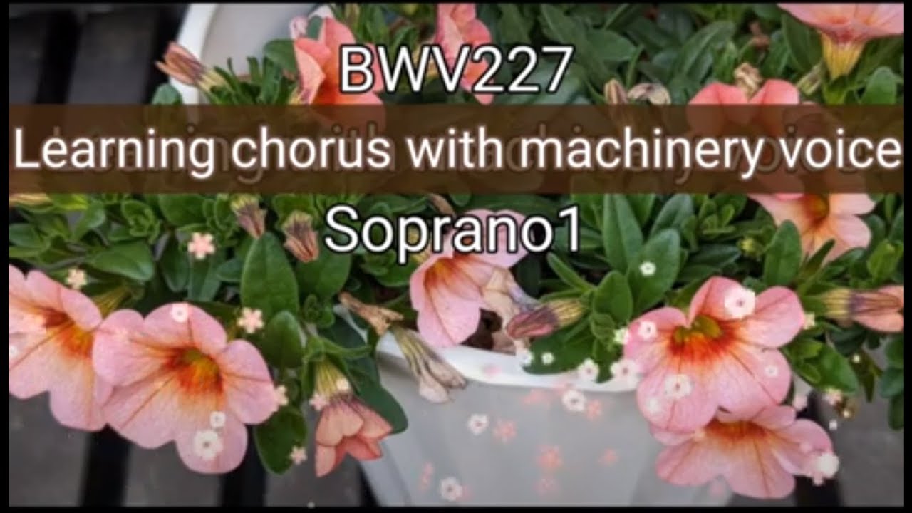 BWV227-Soprano1 * Learning chorus with machinery voice 合唱音取り練習 - YouTube