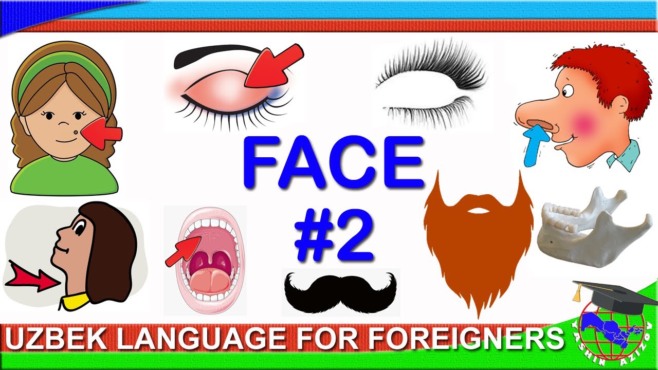 1.5. Parts of the FACE in Uzbek (part 2). Remember parts of the face in ...
