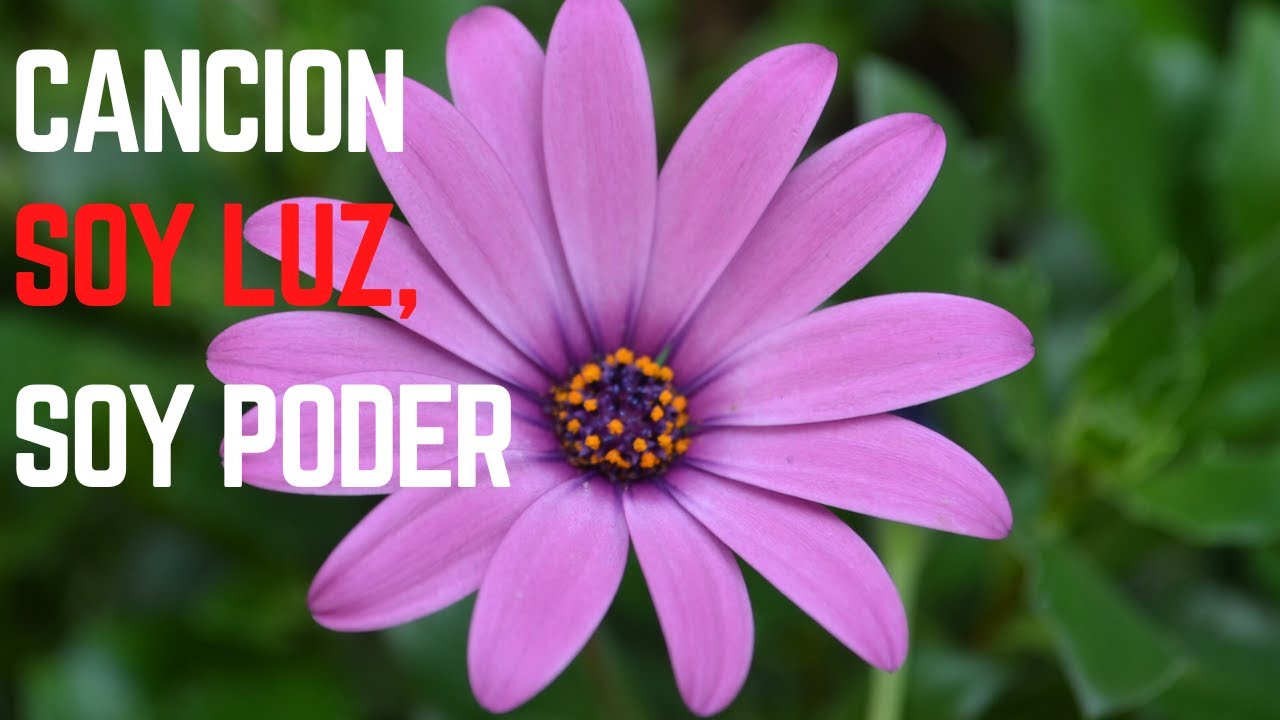 CANCION SOY LUZ SOY PODER - YouTube