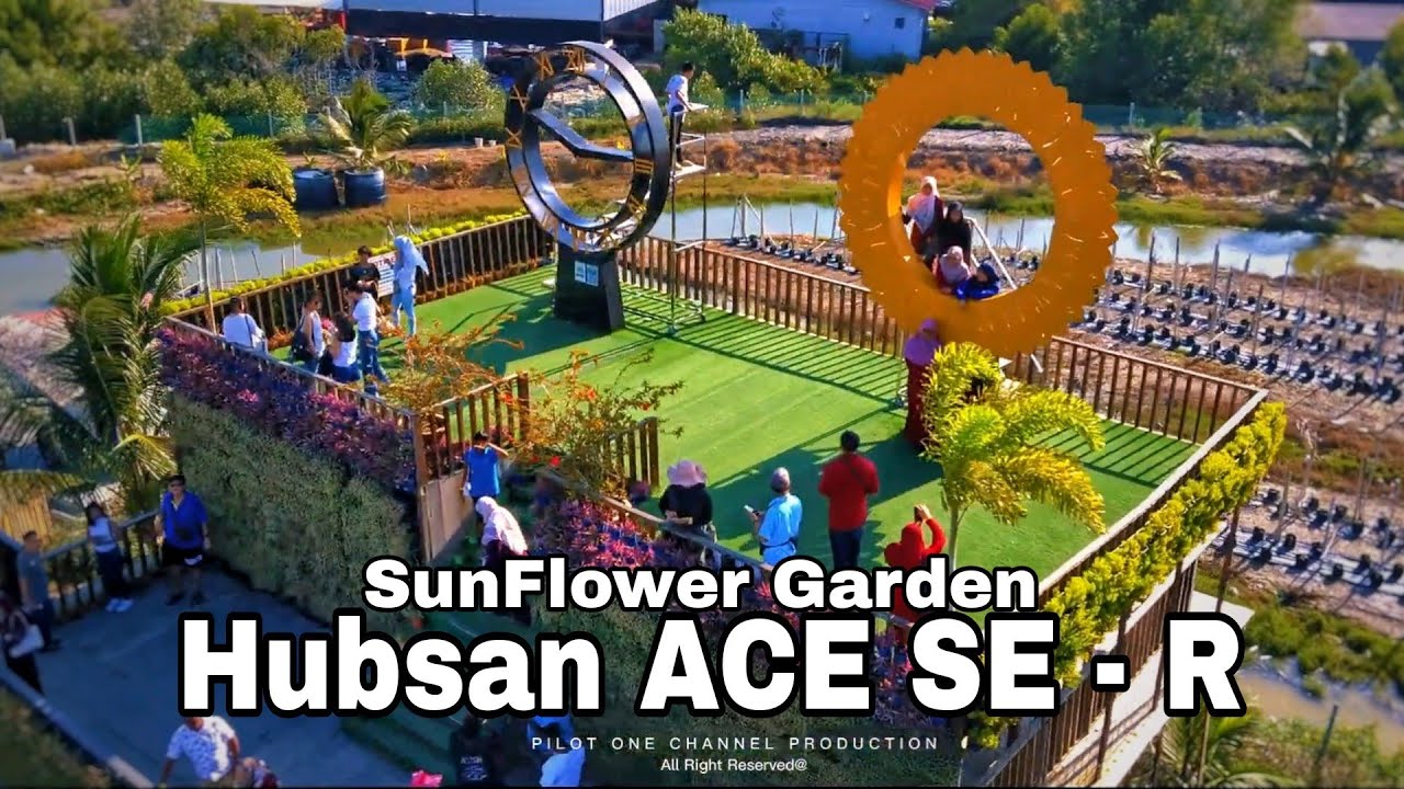 Hubsan ACE SE-R Drone VIEW Ladang Bunga Matahari (SUNFLOWER GARDEN ...