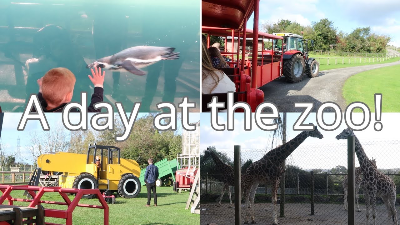 FOLLY FARM ADVENTURE PARK AND ZOO | A DAY AT THE ZOO - YouTube