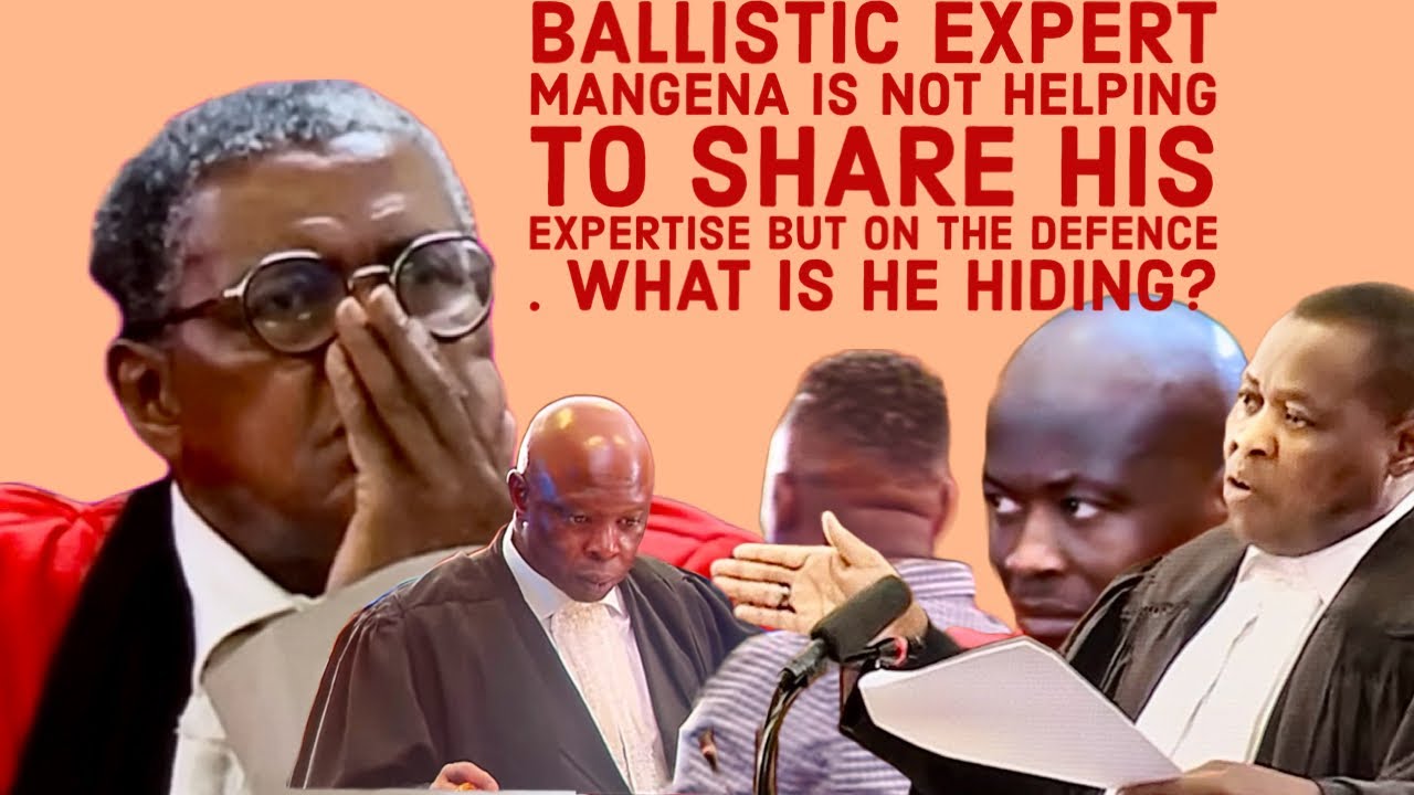 Adv Mngomezulu : Ballistic expert Mangena is on defence not sharing his ...