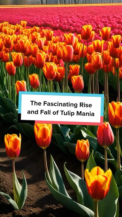 🌷 The Shocking Story of Tulip Mania's Rise & Fall! 🌷 #historyfacts # ...