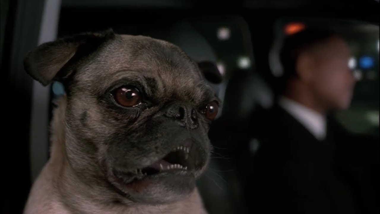 Men In Black Funny Scene In Hindi - YouTube