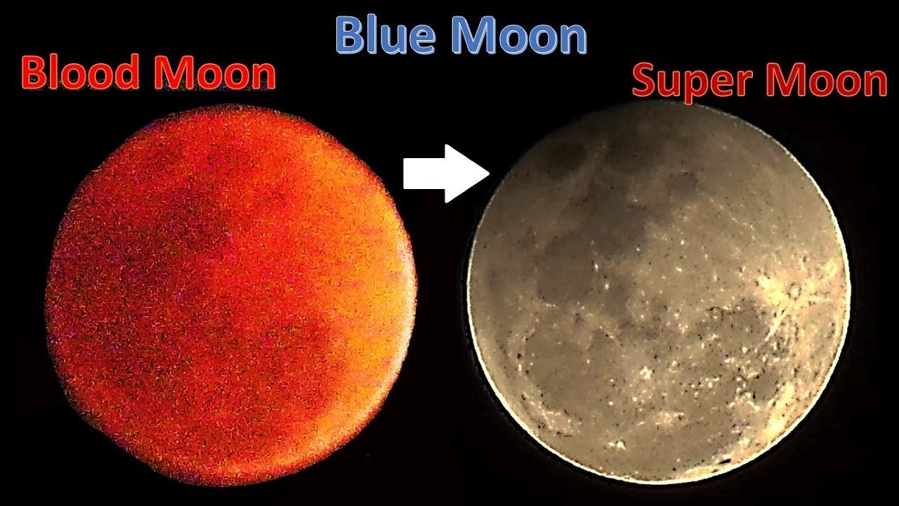 Super Blue Blood Moon - A rare celestial phenomenon - YouTube