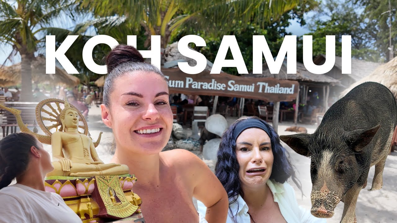 Is Koh Samui Overrated or Worth It? 👀 | Pig Island, Fire Show & Food ...