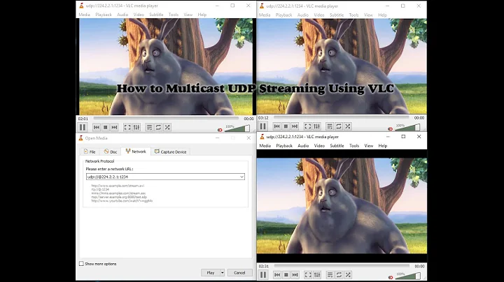 Solved Dumping Multicast UDP Stream With Socat 9to5Answer solved-dumping-multicast-udp-stream-with-socat-9to5answer