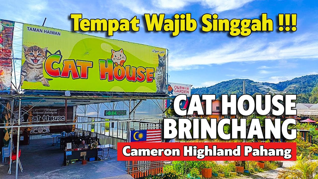 CAT HOUSE CAMERON HIGHLAND | TEMPAT WAJIB SINGGAH | TEMPAT MENARIK DI ...