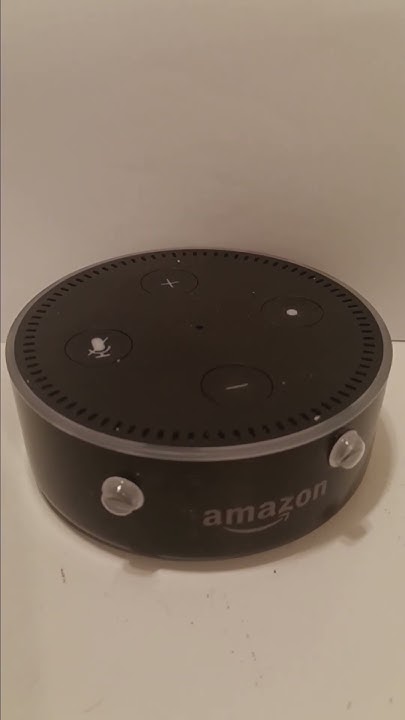 Odd things your Alexa can do (part 31) #alexa - YouTube