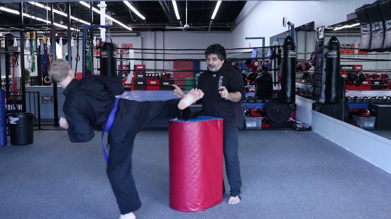 Spinning Hook Kick - YouTube