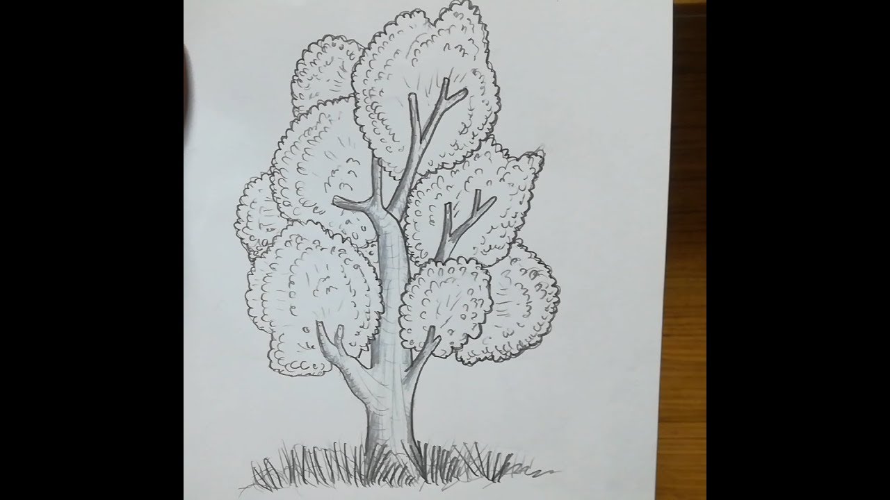 How the draw tree? ağaç nasıl çizilir, Drawing tree - YouTube