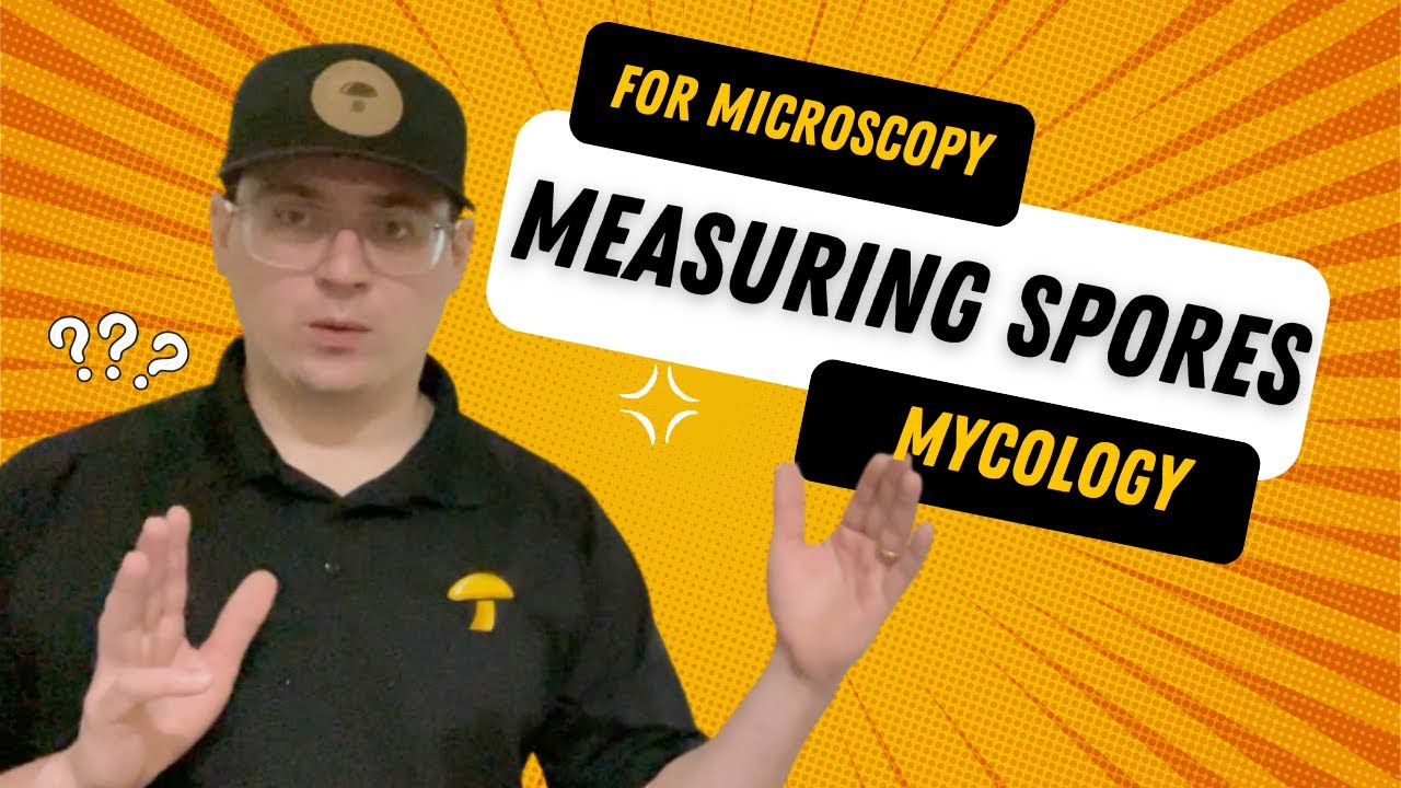Measuring Mushroom Spores with a Microscope - YouTube