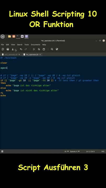 Linux Shell Scripting 10 - OR Operator / Script Ausühren 3 - YouTube