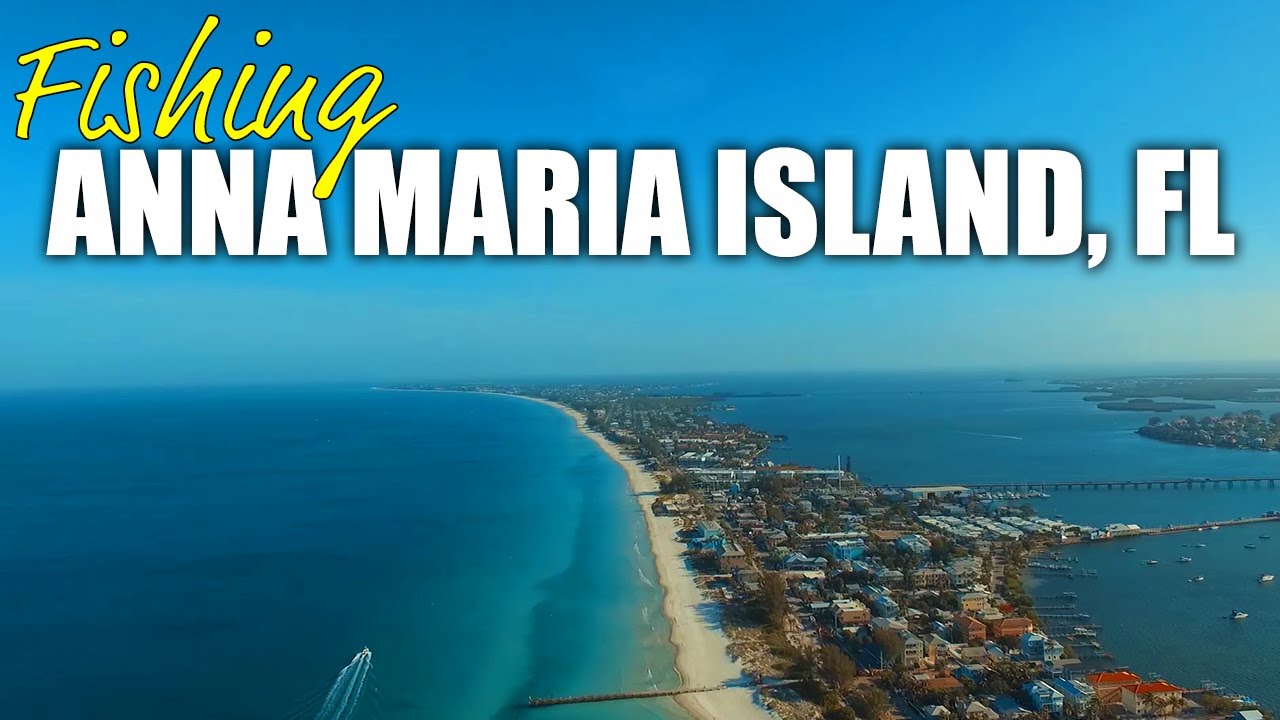 Anna Maria Charters Fishing - 4 Species 1 Trip - Anna Maria Island ...