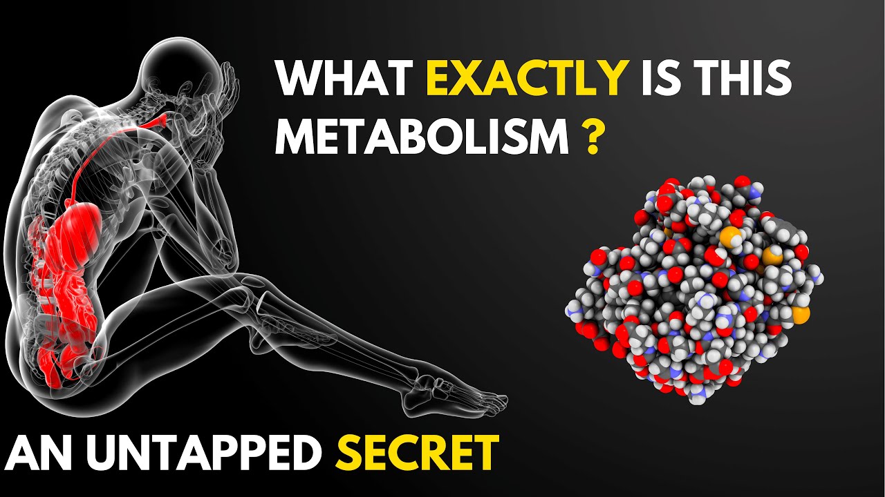 How Metabolism Works: Everything You Need To Know - YouTube