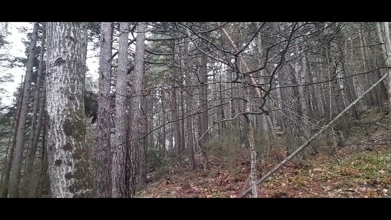 WWL..Wild West Liguria..XCreature..Electromagnetic Interference.. - YouTube