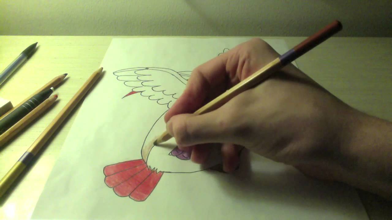 Drawing all the Pokemon: Number 18 Pidgeot - YouTube