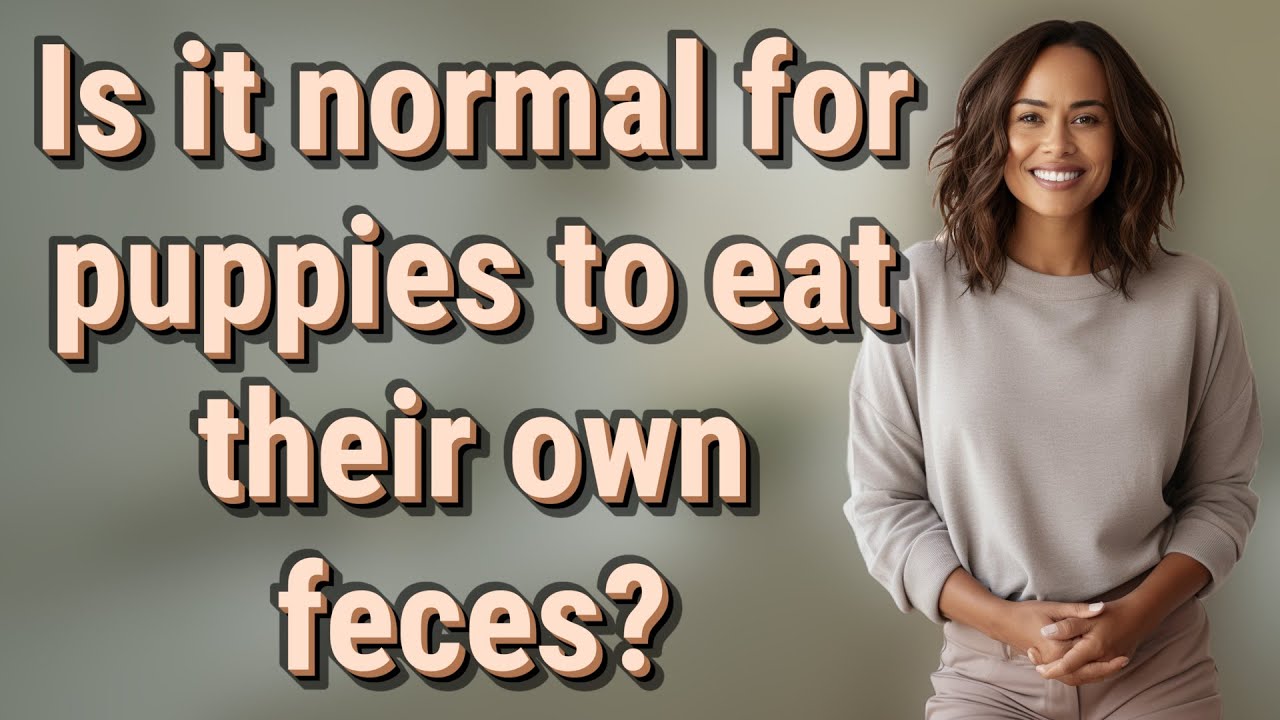 Is it normal for puppies to eat their own feces? - YouTube