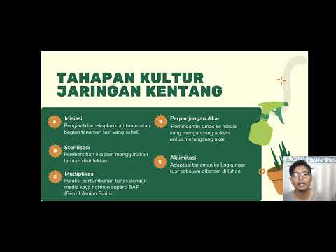 Tugas Terstruktur Bioteknologi_Muhammad Muflih Uya_C1011231065 - YouTube