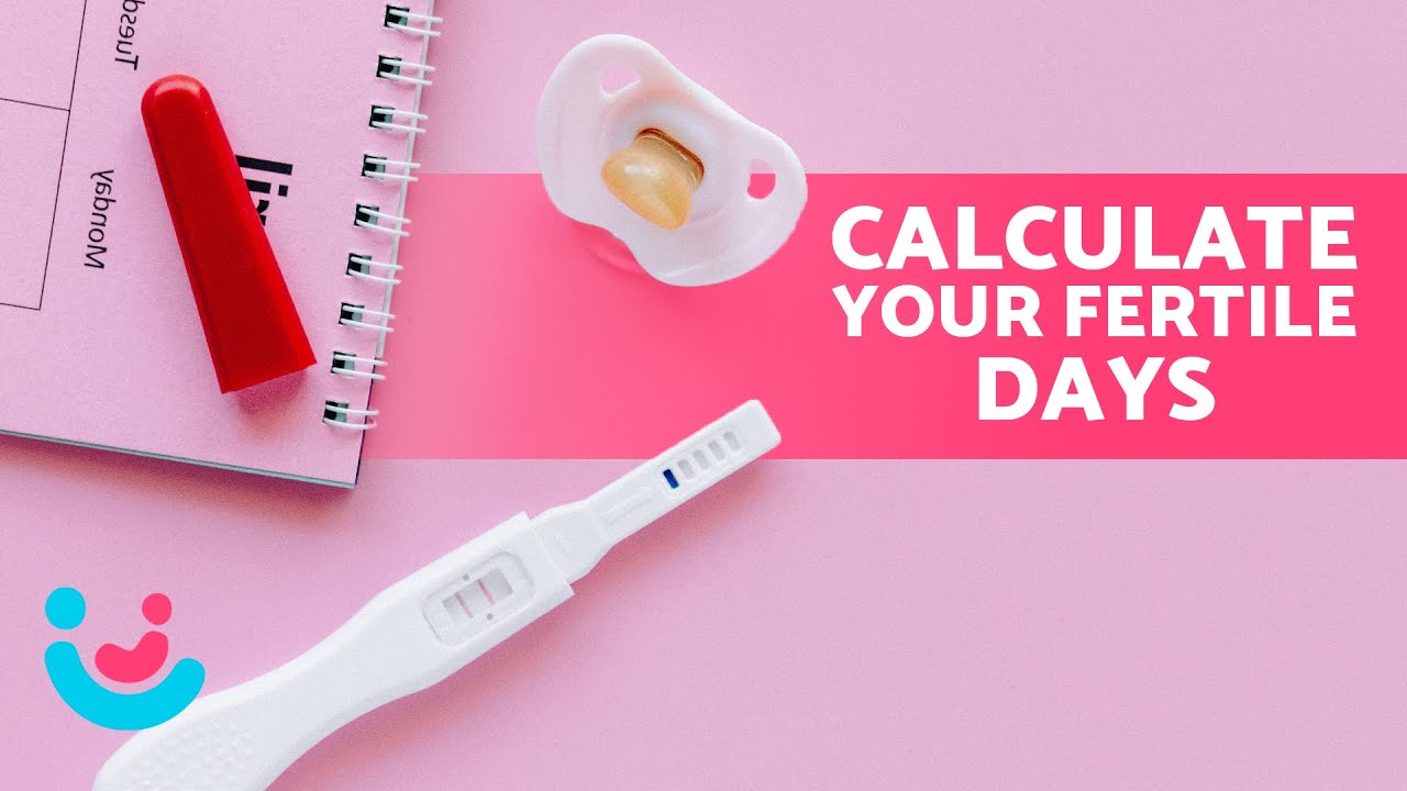 FERTILE DAYS of WOMEN and OVULATION 💜 Know your MENSTRUAL CYCLE! - YouTube