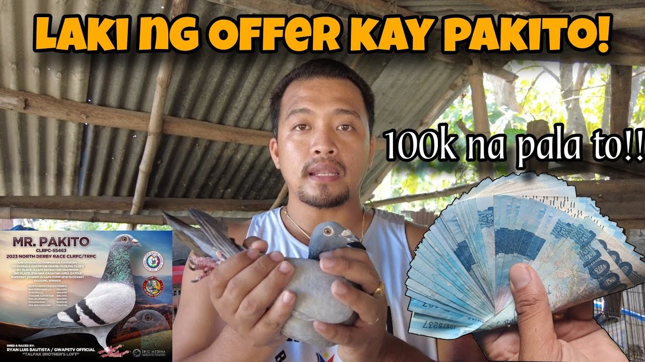 TUMATAGINTING NA OFFER KAY PAKITO, 100K LIBO!! | KARERA NG KALAPATI ...