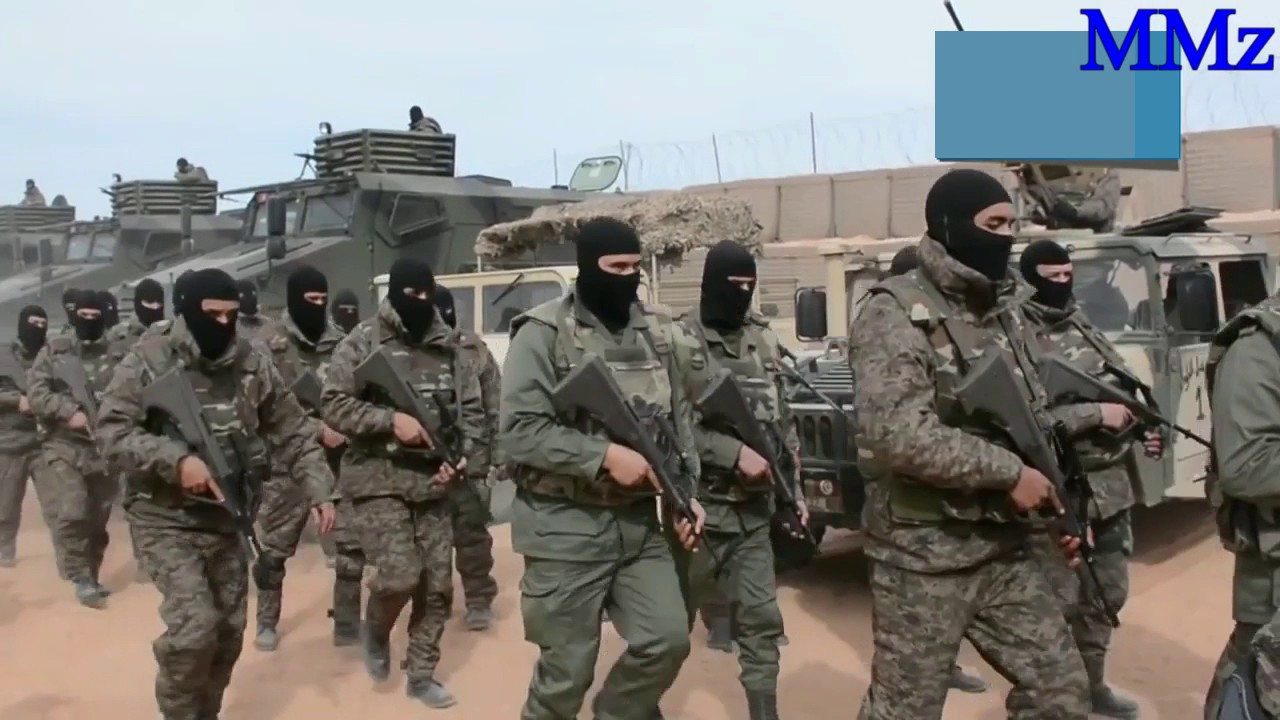 Tunisian Special Forces [ BAT & USGN & GFS & Marines & Air Forces ...