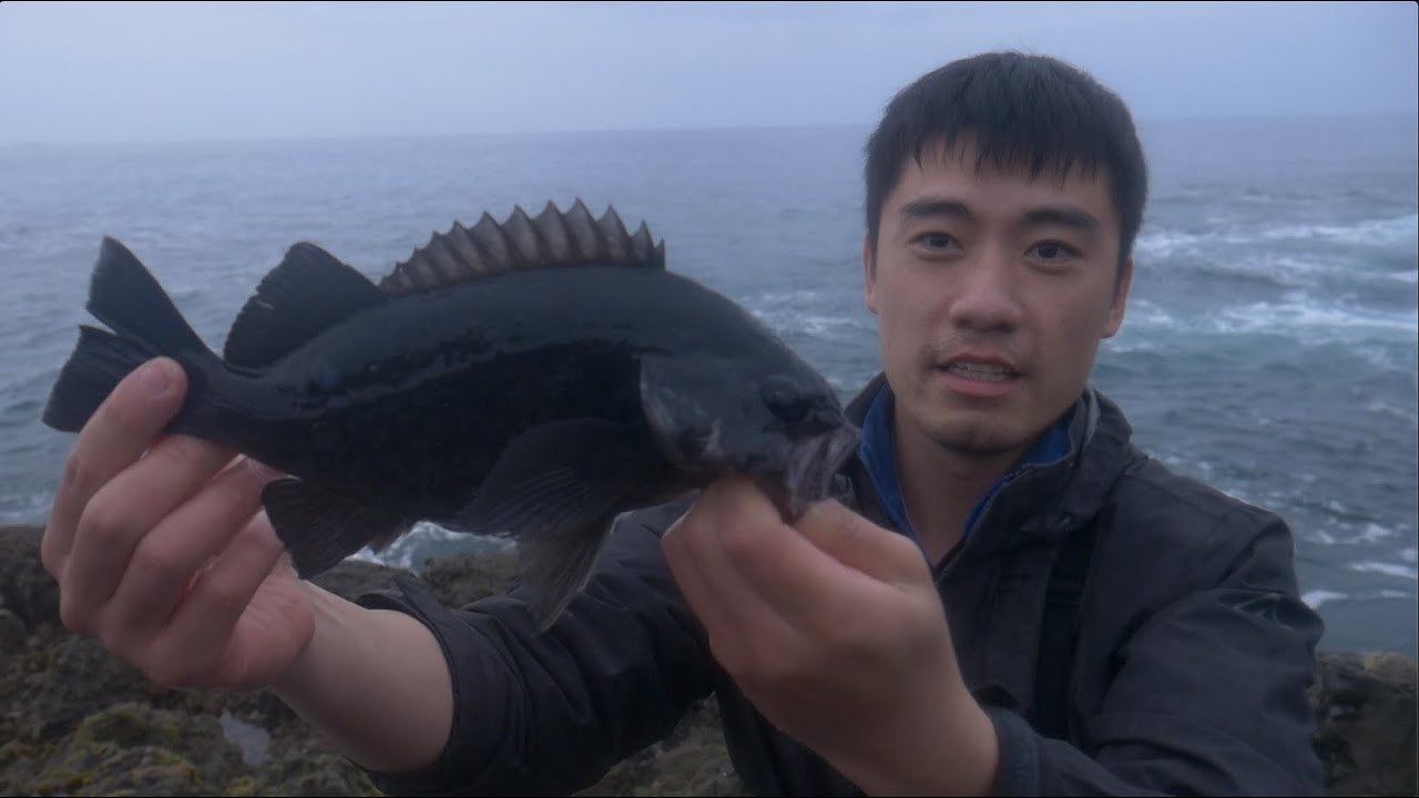 【Fishing Chef】Catch and Cook Blue Rock Fish! A Steamy Umami Fish Recipe ...