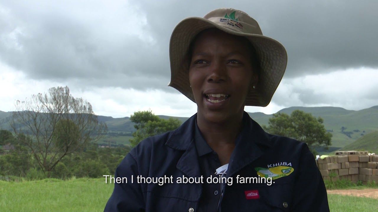 ESWATINI AGRICULTURE DOCUMENTARY - YouTube