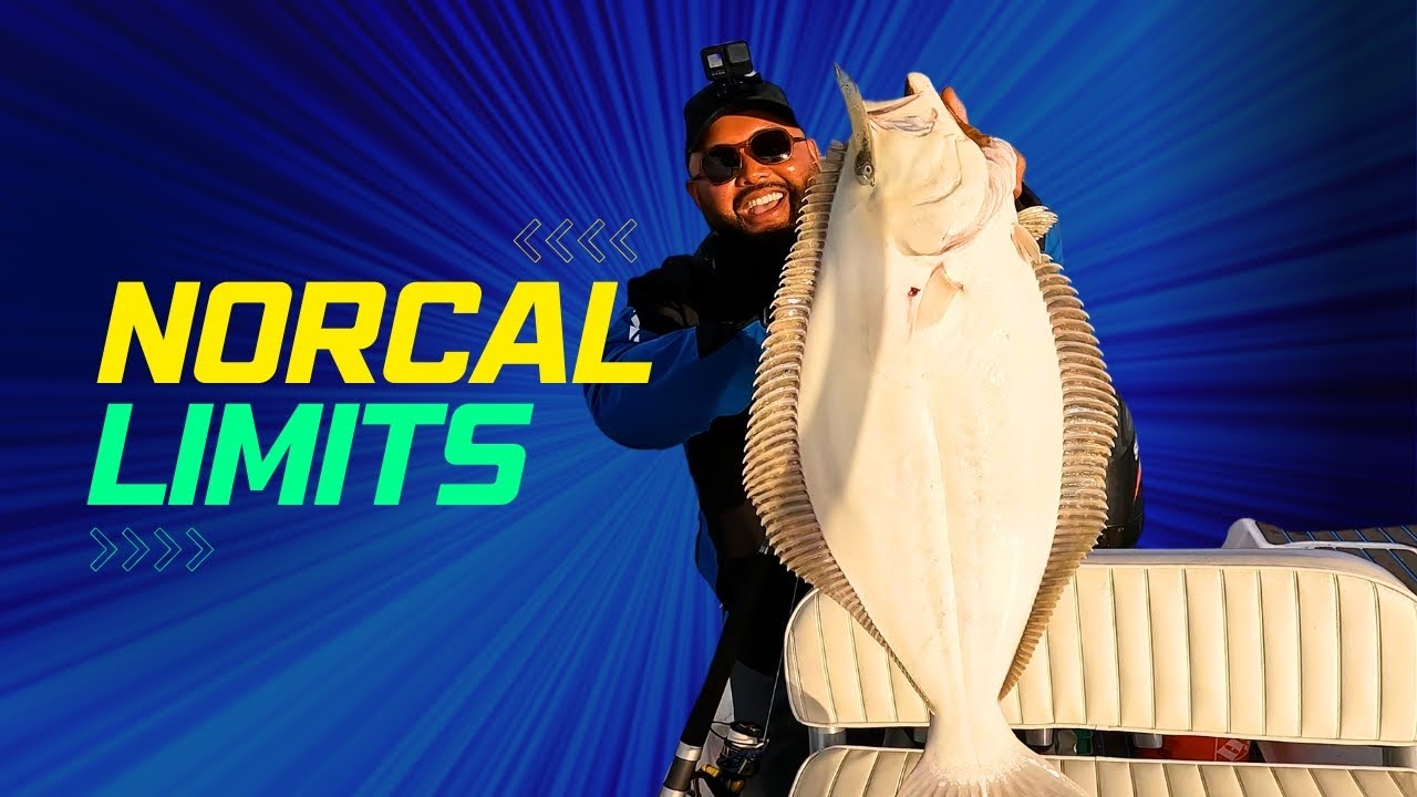 Shallow Water Halibut Fishing - YouTube