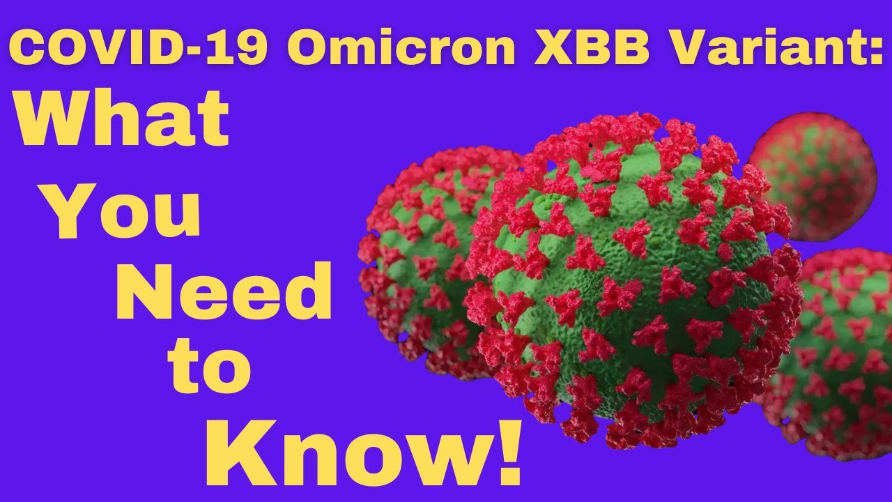 COVID 19 Omicron XBB Variant: What You Need to Know! - YouTube