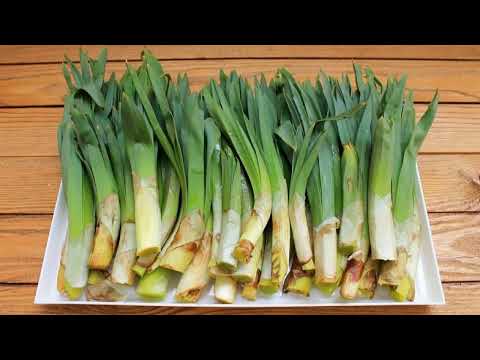 Çiriş Otu Faydaları ve Zararları Nelerdir