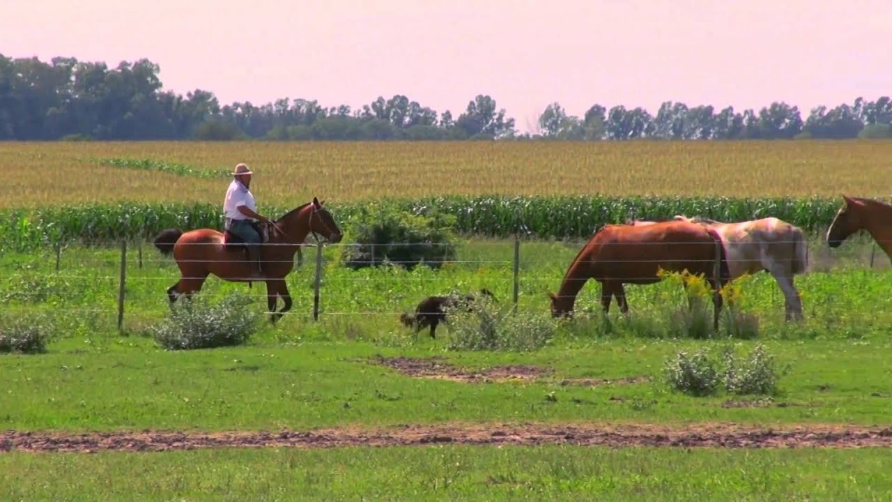 Valley Wide Coop - YouTube