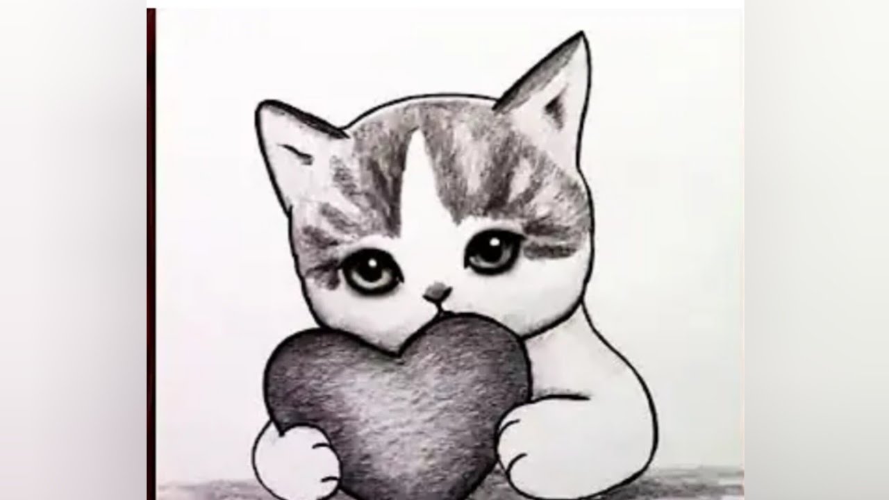 How to draw cat 🐈 drawing with pencil shading #cat drawing # - YouTube