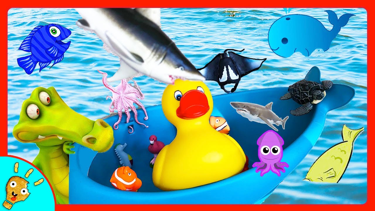 Learn SEA and WATER Animals in Pool Tub Toy with Squishee Nugget - YouTube