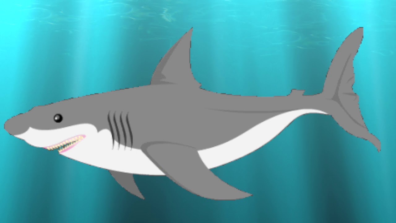 Mr. Sharks Clean Up Crew - YouTube