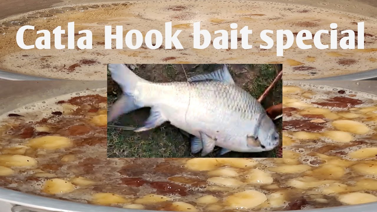 Best fishing formula|laag or kakoo khelny ka tarika - YouTube