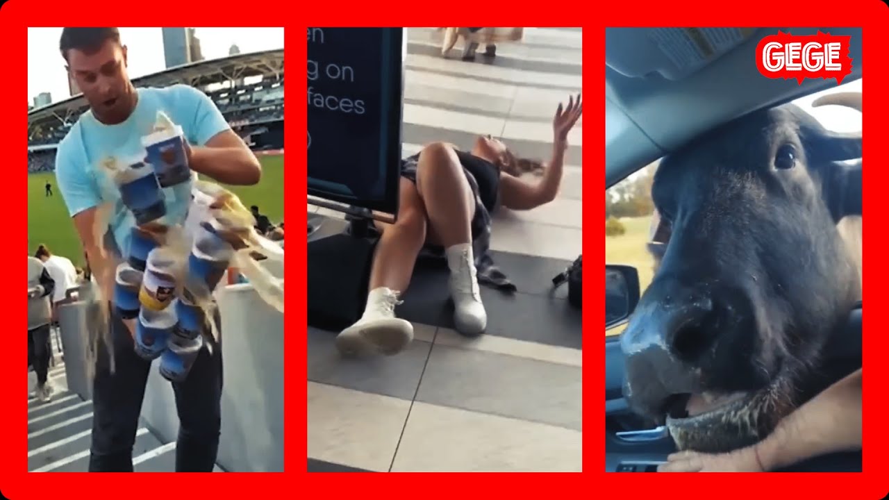 Best Funny Fail Videos #002 - YouTube
