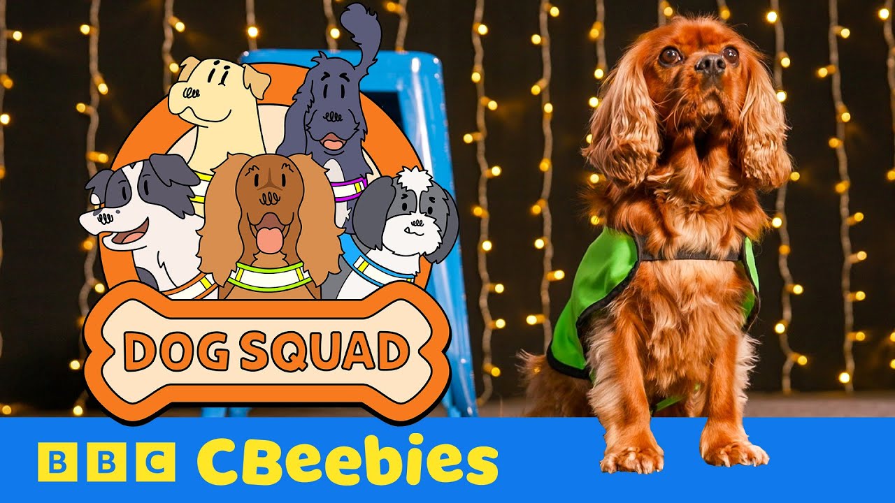 Dog Squad: Official Trailer | CBeebies - YouTube