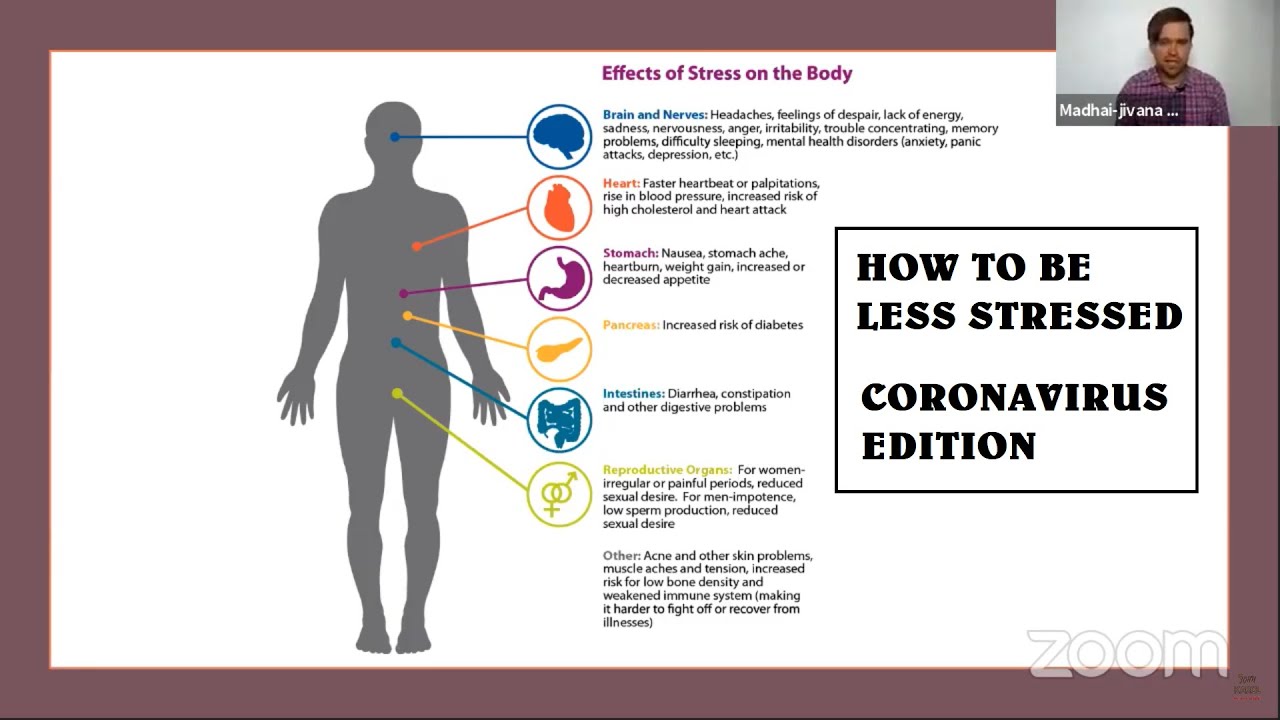 How to be less stressed and anxious (corona virus edition) live webinar ...