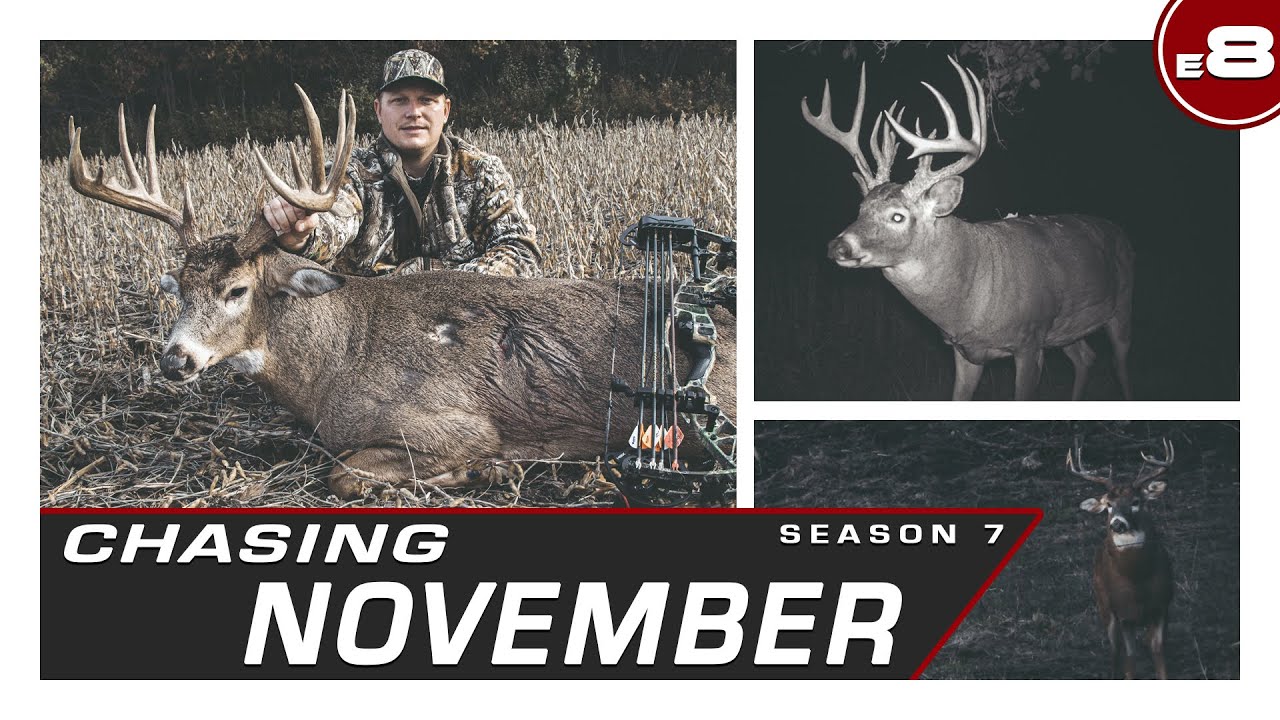 E8: Angry Snort Wheeze Buck, Decoy Hunting in Iowa - YouTube