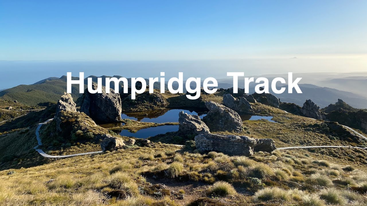 Humpridge Track, Fiordland National Park, New Zealand, 08/01/2023 - 10 ...