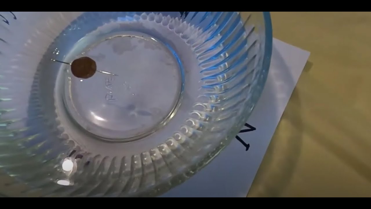 Homemade Compass - YouTube