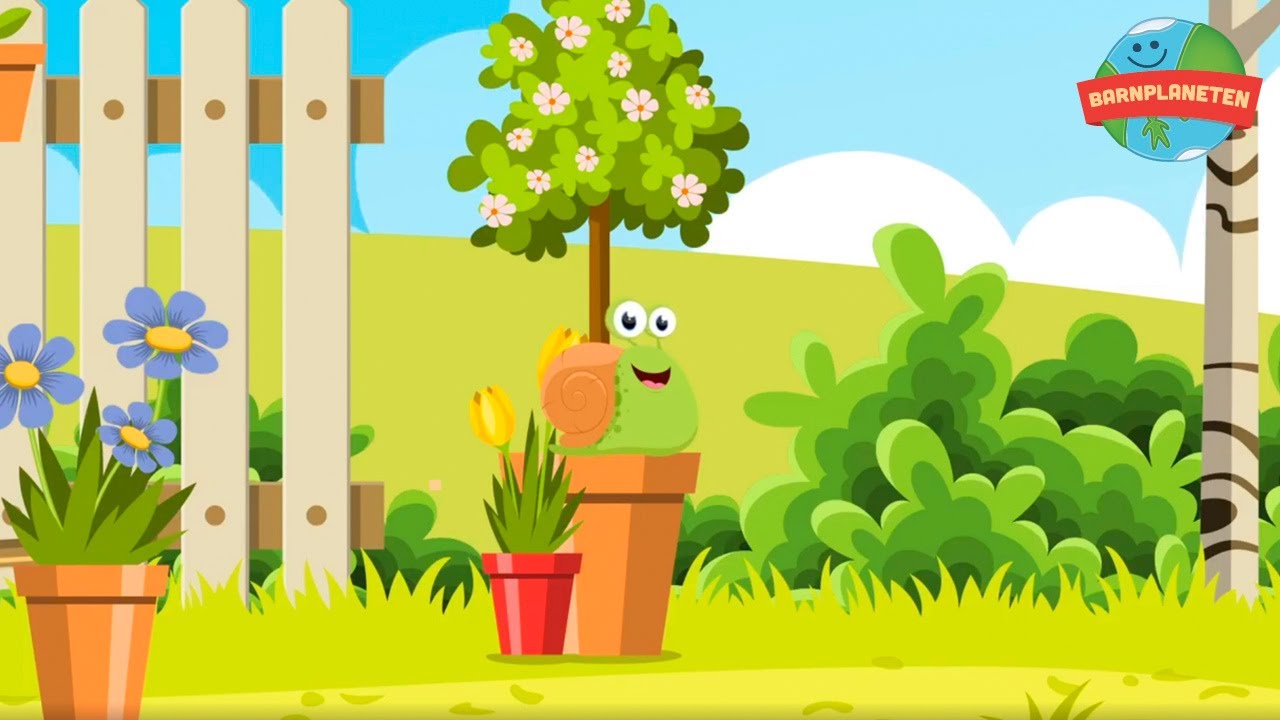 Lilla Snigel - Animerad Barnvideo - YouTube