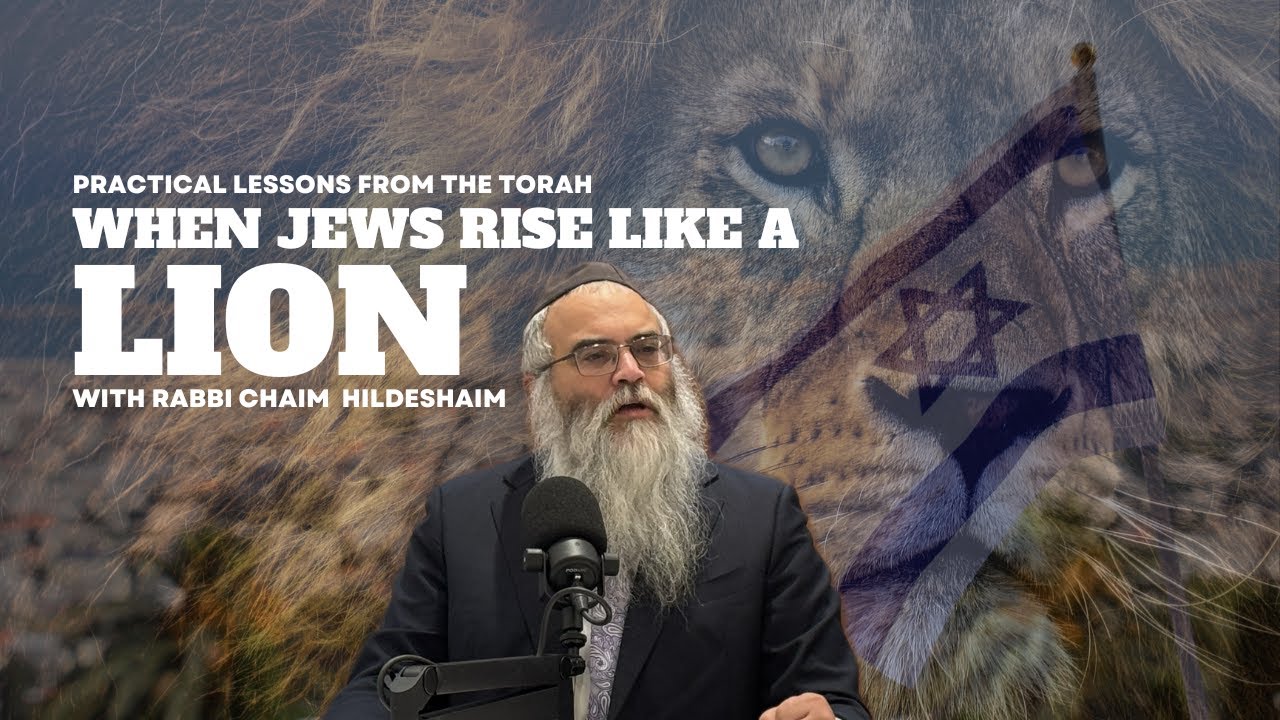 When Jews Rise Like A Lion - Rabbi Hildeshaim @ Chabad Thornhill Woods ...