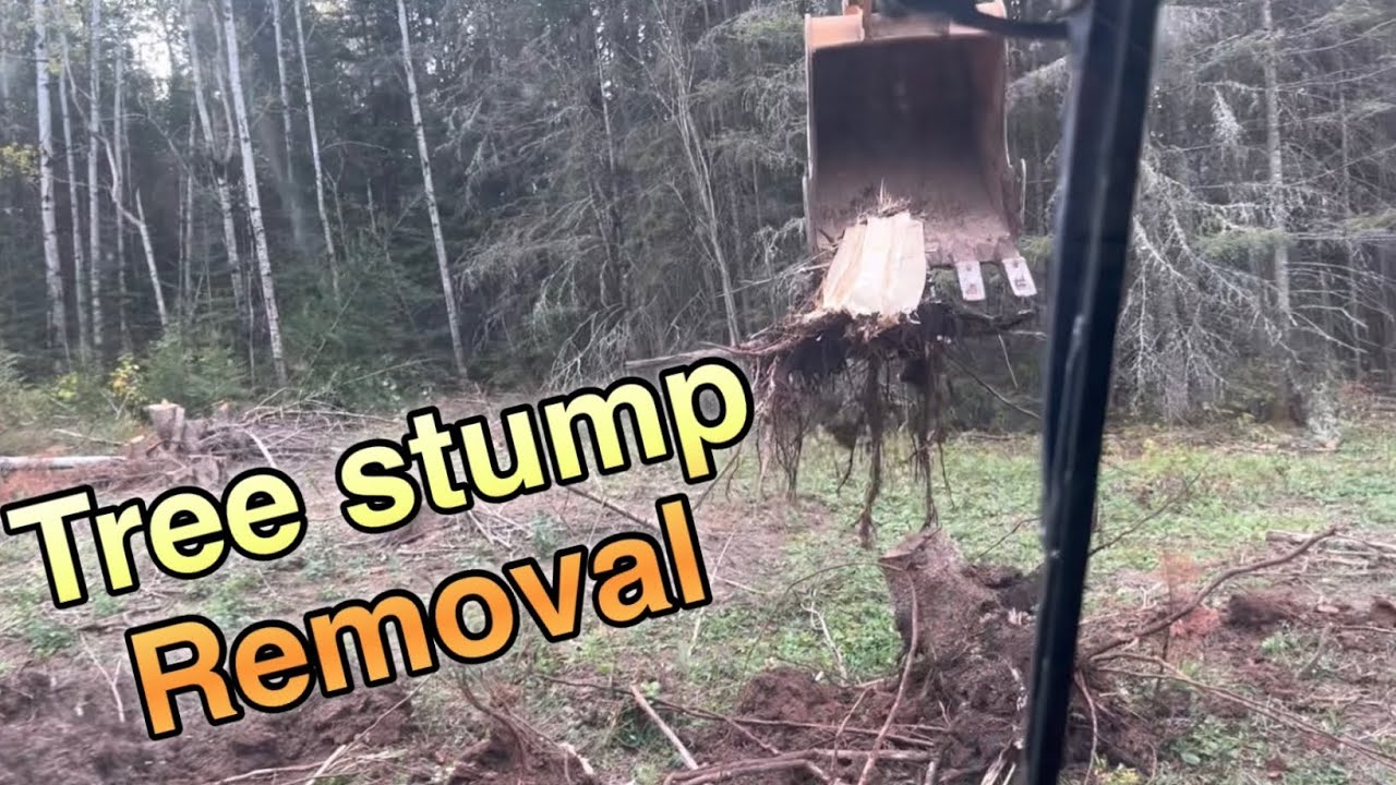 Off grid farm/property tree stump removal - YouTube